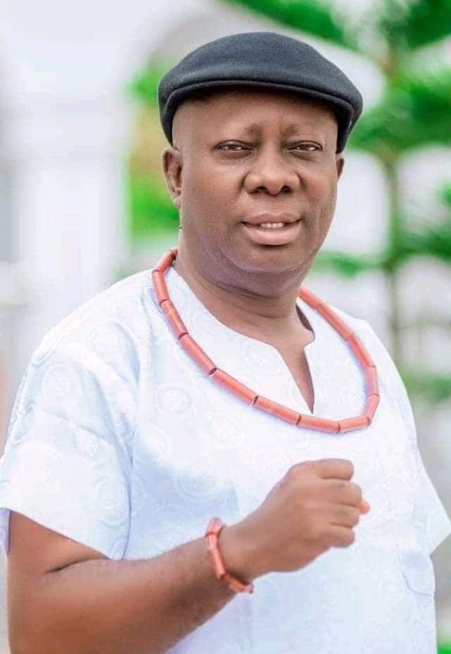 Breaking : Perkins Umukoro of PDP defeats Ogodo, Ayomanor to clinch ...