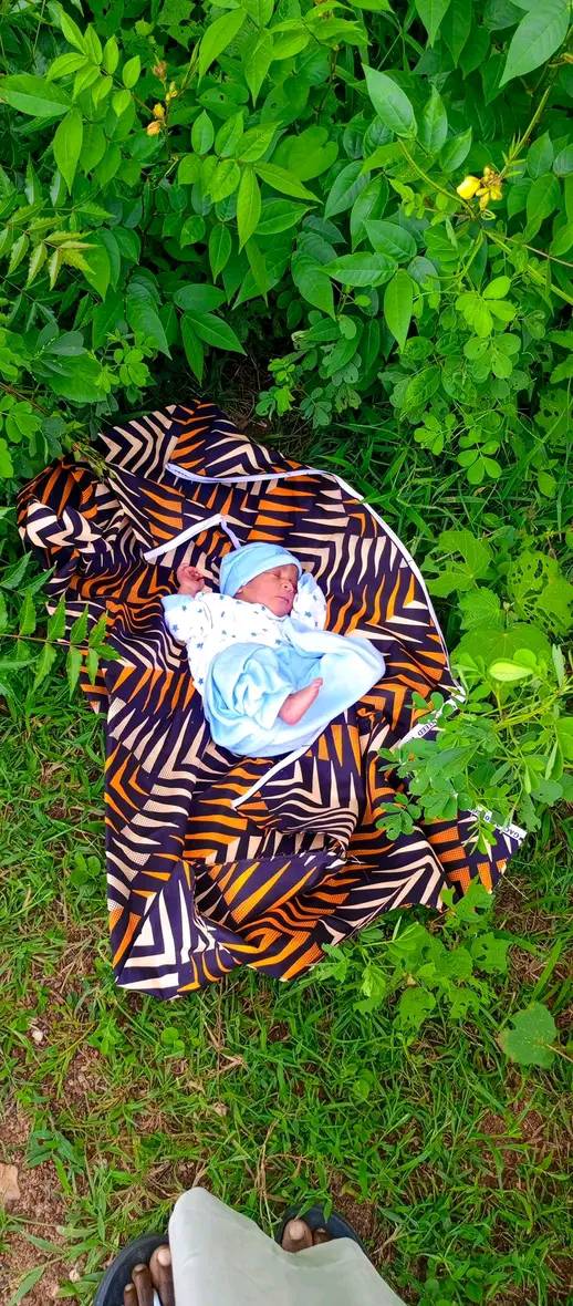 Abandoned newborn baby found under a tree : See where it happened - RERO TV